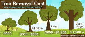 Fast Tree Removal Services Atlanta » 2021 Tree Removal and Emergency ...