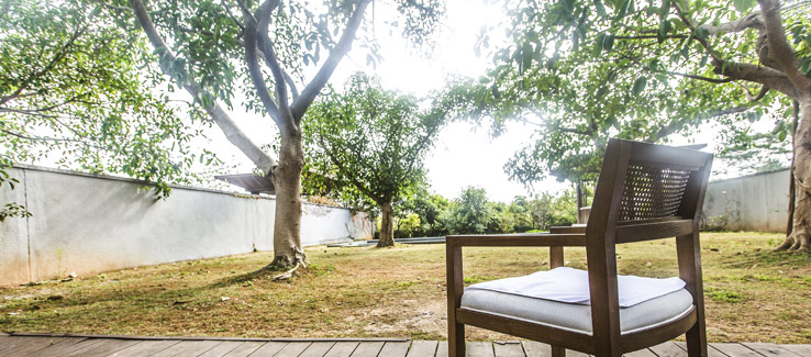 City of Atlanta Tree Recompense and Removal Fine – Fast Tree Removal ...